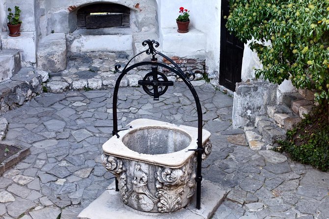 Day Trip Through Brasov in Transylvania and Bran, Peles, and Rasnov Castles - Who Is This Tour Best For?