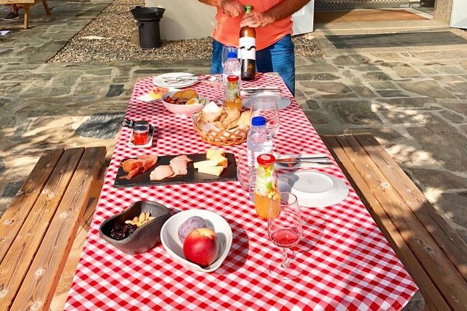 Day Trip Through the Enchanting Douro Valley #DuckSideOfPorto - Tour Inclusions, Pricing, and Logistics