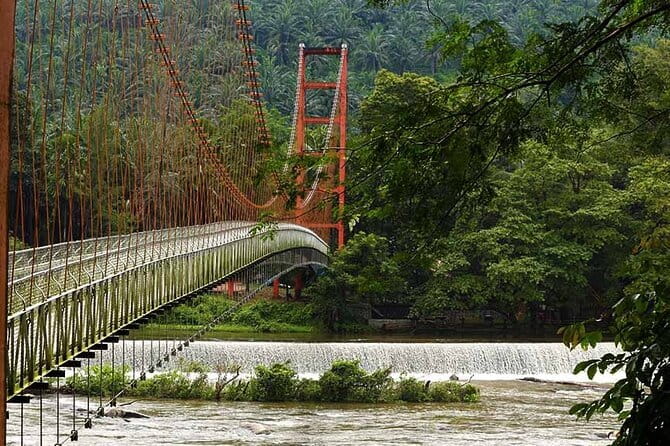 Day Trip to Athirappilly Water Falls by Kochi Taxi - Who Will Love This Tour?