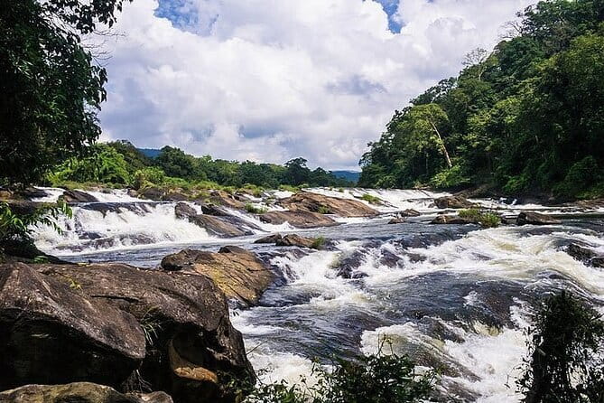 Day Trip to Athirappilly Water Falls by Kochi Taxi - The Sum Up