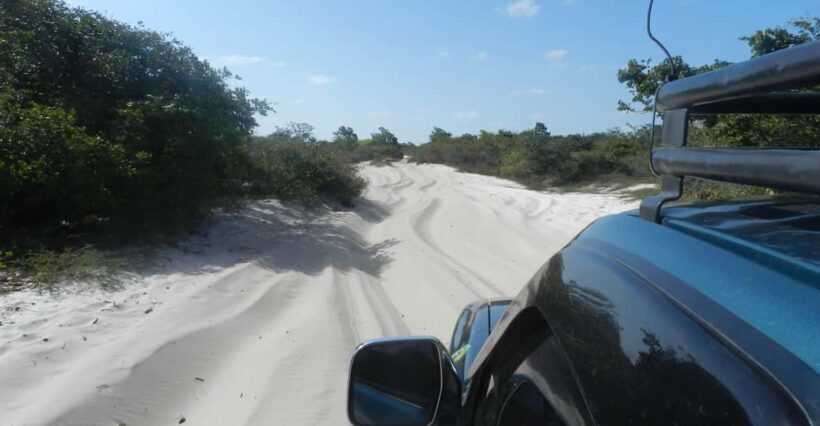 Day trip to Atins through the Lencois Maranhenses - Authenticity and Traveler Feedback