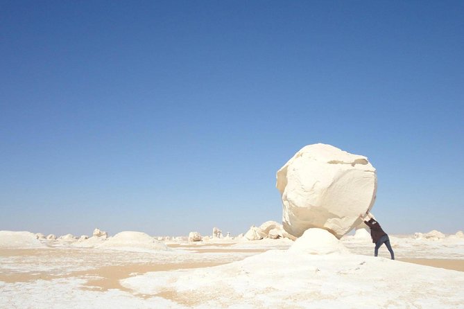 Day Trip To Bahariya Oasis Visit Black And White Desert From Cairo - Tour Reviews and Feedback
