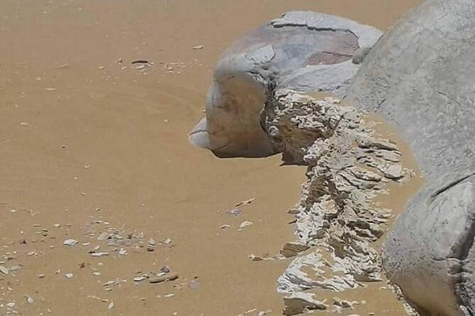 Day Trip To Bahariya Oasis Visit Black And White Desert From Cairo - Venturing Into the Black and White Deserts