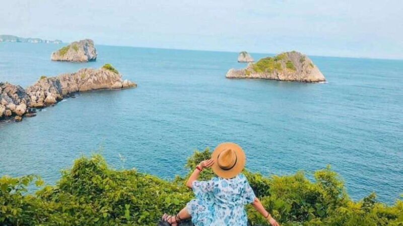 Day Trip to Cat Ba Island and Lan Ha Bay with Lunch Included - Who Will Love This Experience?