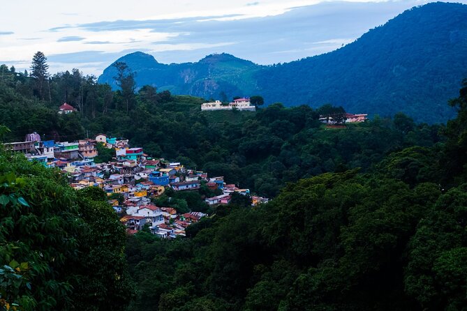 Day Trip to Coonoor (Guided Sightseeing Tour by Car from Ooty) - Who Will Appreciate This Tour?