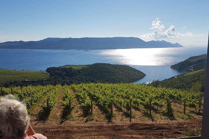 Day Trip to Dubrovnik From Split - FAQs