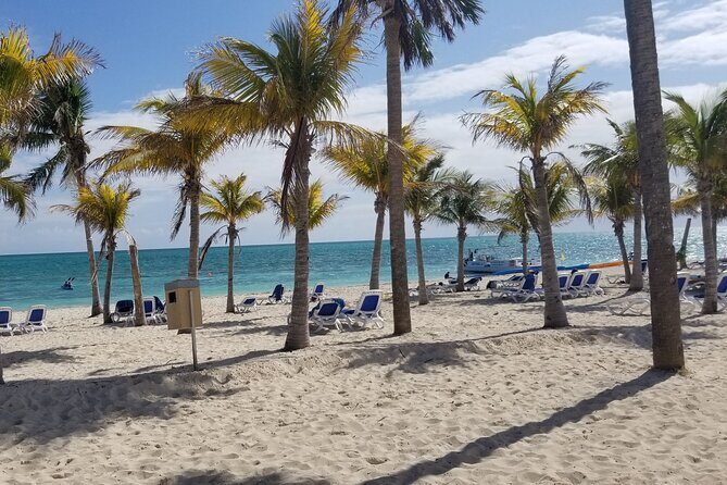 Day Trip To Freeport, Grand Bahama - Tickets only - Introduction: A Snapshot of a Popular Day Trip to Freeport