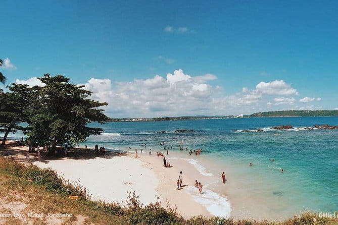 Day Trip to Galle Fort and Unawatuna Beach from Colombo - What Travelers Are Saying (Based on Reviews)