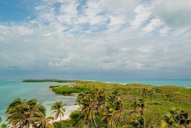 Day Trip to Isla Contoy - Who Will Enjoy This Tour?