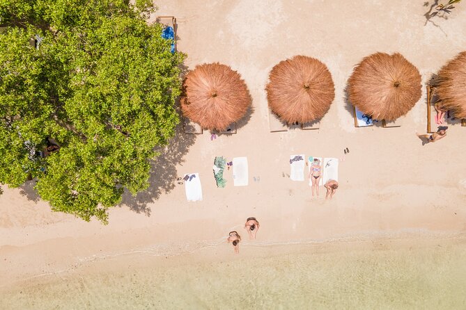 Day Trip to Islabela by Boat From Cartagena - Key Points