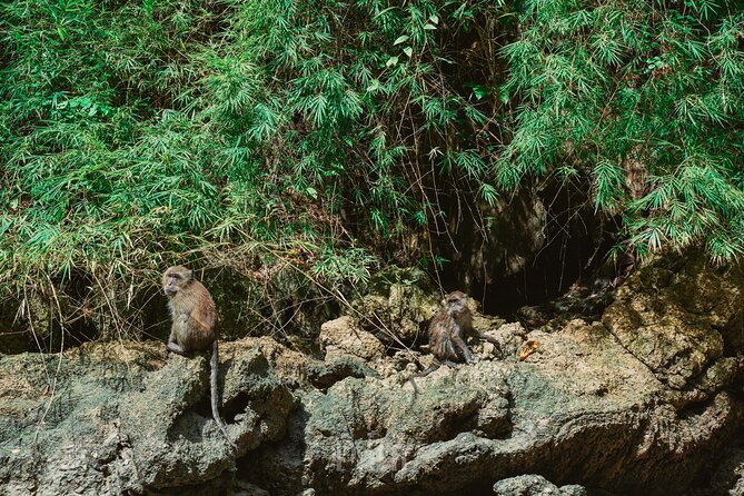 Day Trip to James Bond (Canoeing & Kayaking Islands & Lunch) - Transportation, Price, and Overall Value