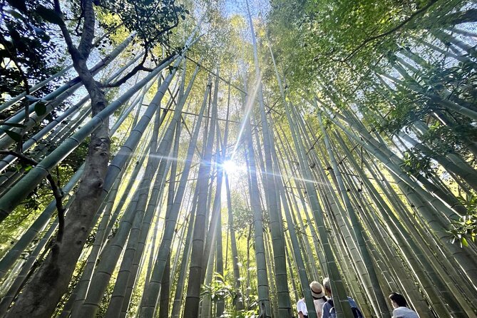 Day Trip to Kamakura & Enoshima: Shrines, Seaside, Temples & Tea - Engaging in the Captivating Koi Feeding Ritual