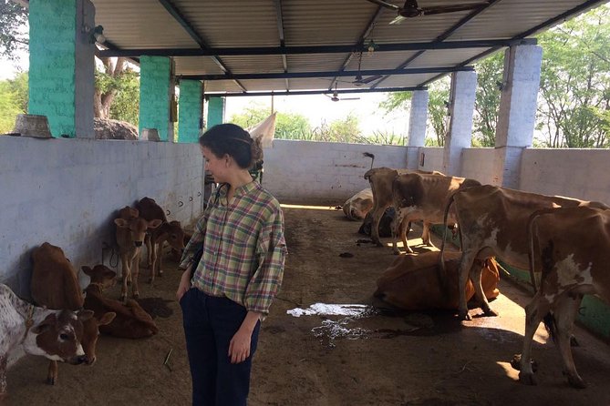 Day trip to Kanchipuram from Chennai - Frequently Asked Questions