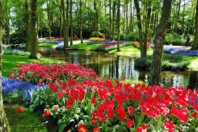 Day Trip to Keukenhof Gardens From Amsterdam With Tour Guide - Tour Reviews and Feedback