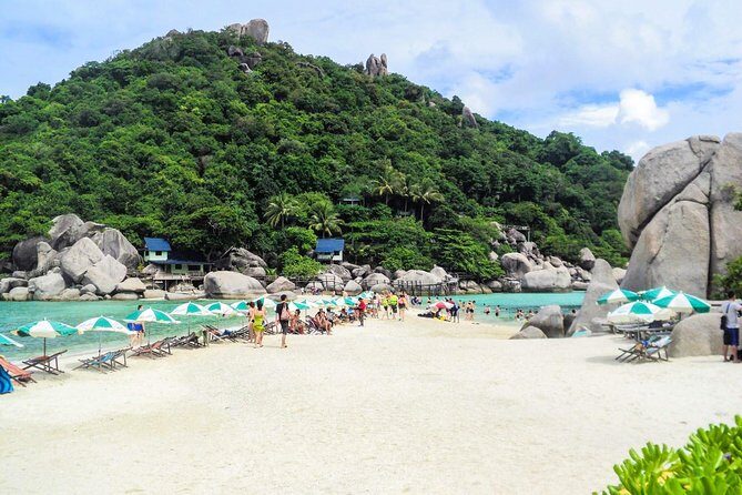 Day Trip to Koh Nangyuan & Koh Tao by Insea Speedboat from Koh Samui - Key Points
