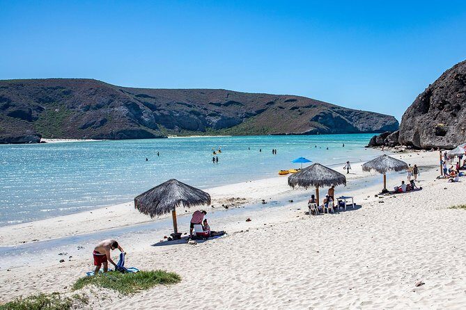 Day Trip to La Paz & Balandra Beach from Cabo San Lucas - What Travelers Say
