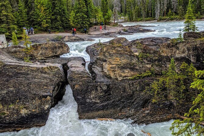 Day Trip to Lake Louise, Moraine Lake, Emerald Lake from Banff - Authentic Insights from Travelers