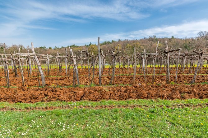 Day Trip to Lipica and Karst - Final Thoughts: Who Should Consider This Tour?