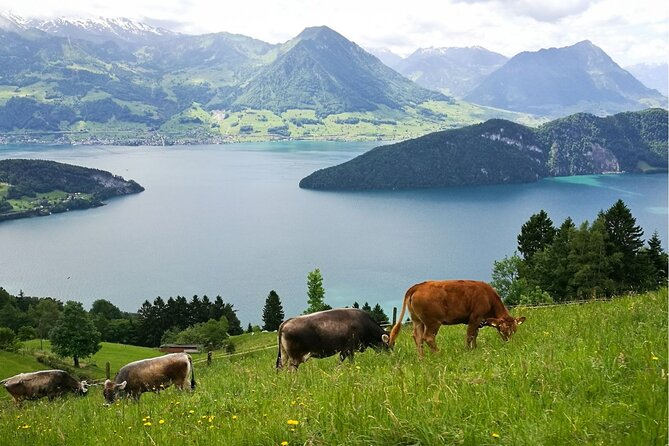 Day Trip to Lucerne and Mt. Rigi with a local from Zurich - Who Will Love This Tour?