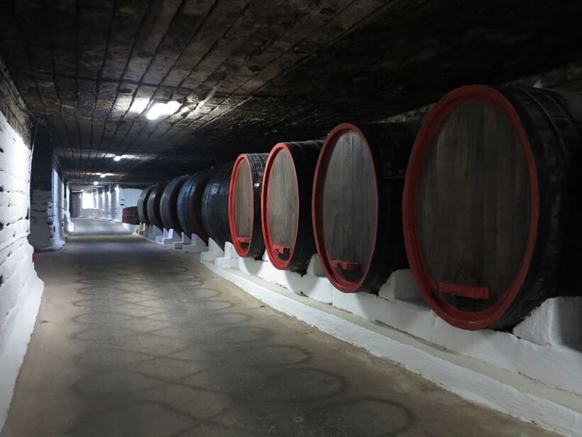 Day trip to Moldova - visit Chisinau and Cricova Winery - Exploring Moldova in a Day: What You Can Expect
