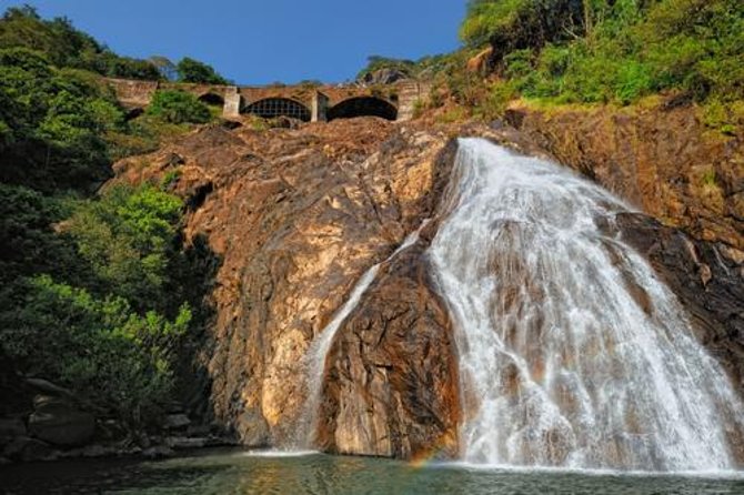 Day Trip to Mollem National Park Including Dudhsagar Falls and Jeep Safari from Goa - Who Is This Tour Best For?