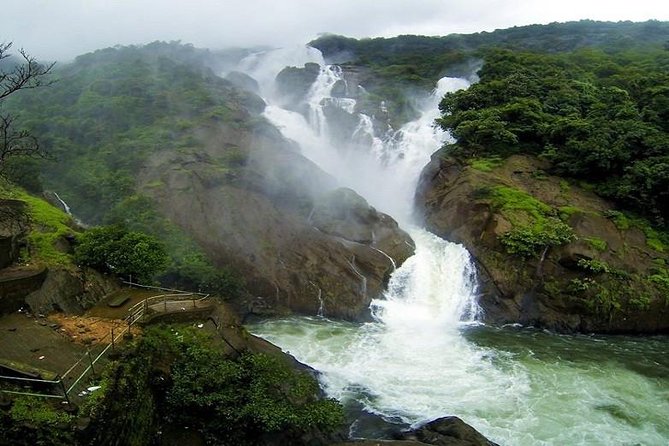 Day Trip to Mollem National Park Including Dudhsagar Falls and Jeep Safari from Goa - Final Thoughts on Value and Experience