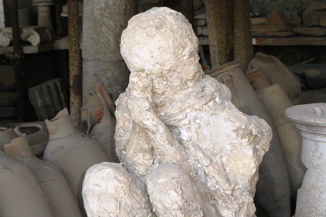 Day Trip to Mount Vesuvius & Pompeii Ruins from Rome - Private Tour - What to Expect from the Tour