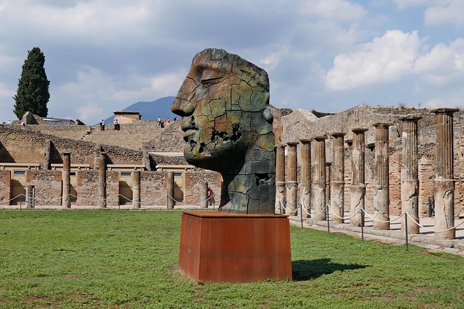 Day Trip to Mount Vesuvius & Pompeii Ruins from Rome - Private Tour - Who Will Love This Tour?