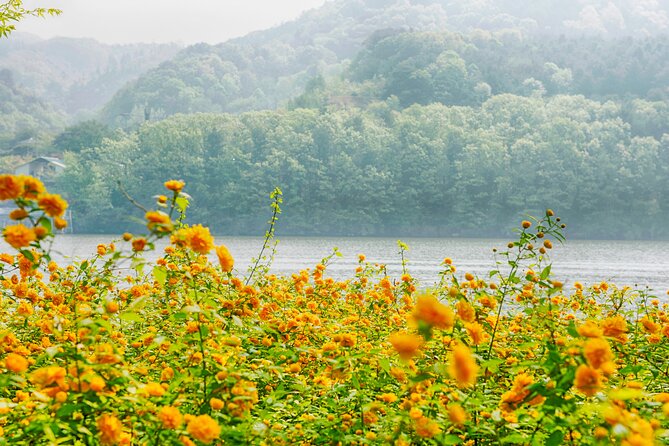 Day Trip to Nami Island with Rail bike and The Garden of Morning Calm - Real Traveler Feedback