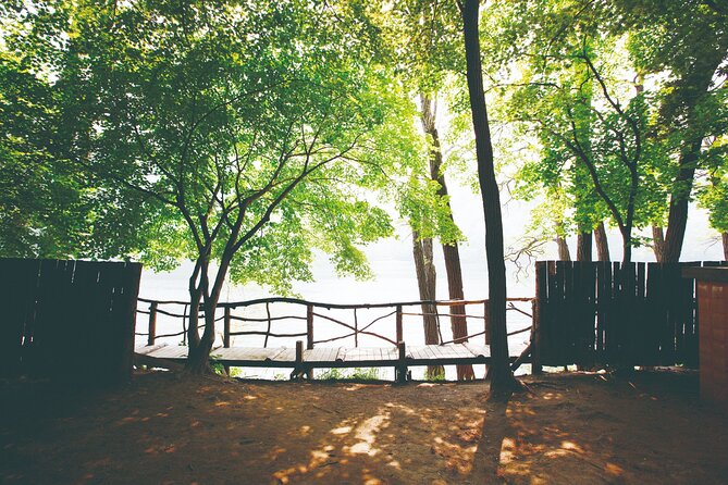 Day Trip to Nami Island with The Garden of Morning Calm - The Value Proposition