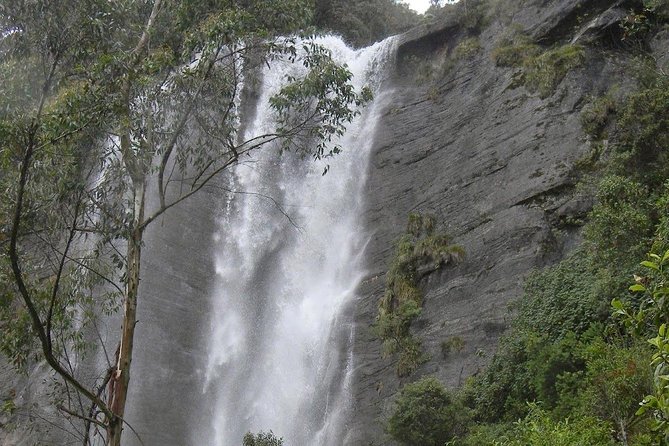 Day Trip to Nuwara eliya from Kandy - The Sum Up