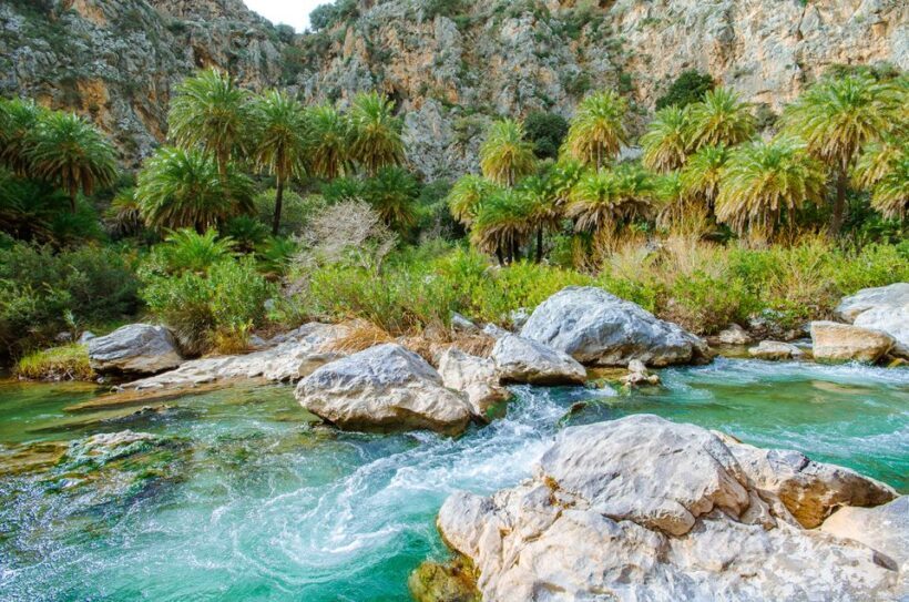 Day Trip to Preveli & Damnoni Beach & Rethymno City Tour - The Practicalities: What to Expect