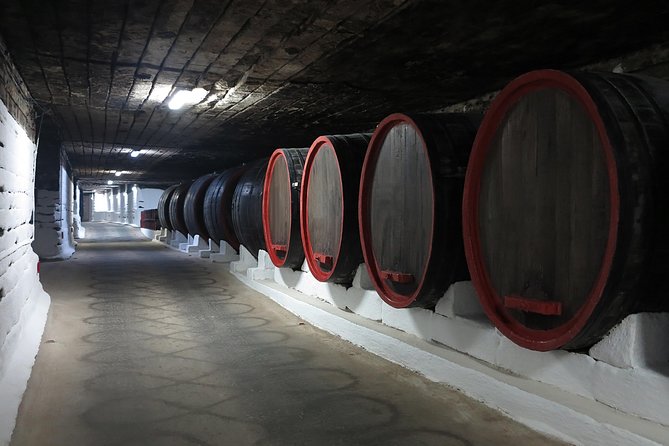 Day Trip to Republic of Moldova - Visit Chisinau and Cricova Winery - Highlights and Activities