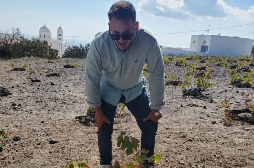 Day Trip to Santorini From Athens - Who Will Love This Experience?