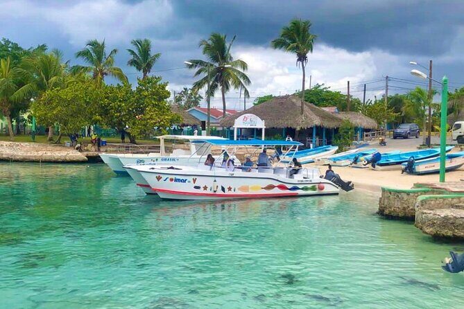 Day Trip to Saona Island with Lunch and Open Bar - A Closer Look at the Itinerary