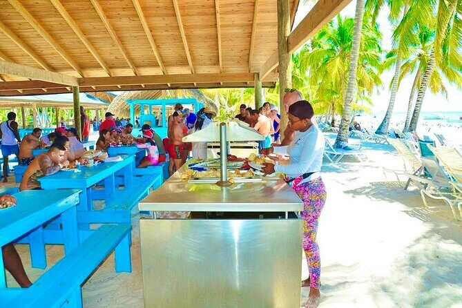 Day Trip to Saona Island with Lunch and Open Bar - Who Is This Tour Best Suited For?