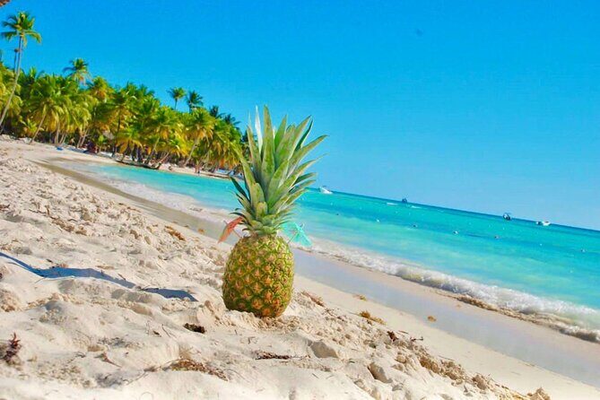 Day Trip to Saona Island with Lunch and Open Bar - Frequently Asked Questions