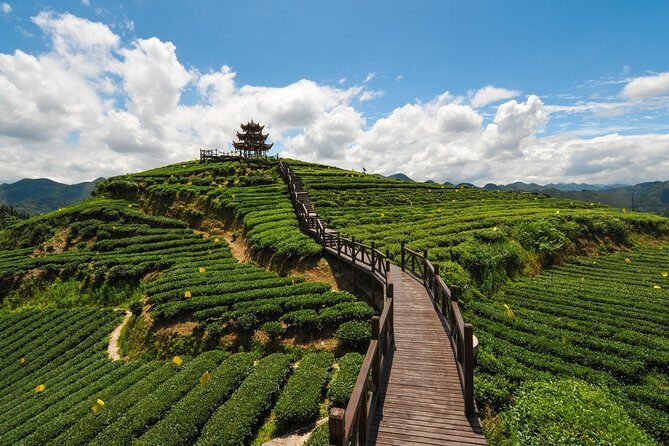 Day Trip to Singalila (Guided Private Sightseeing Experience from Darjeeling) - Who Should Consider This Tour?