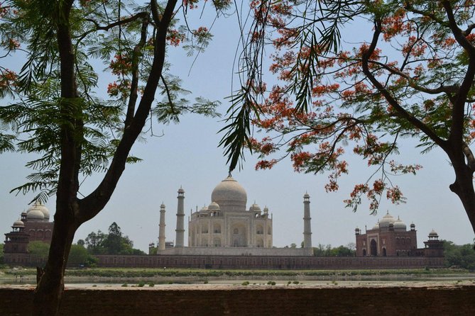 Day Trip to Taj Mahal From Delhi - What Travelers Say
