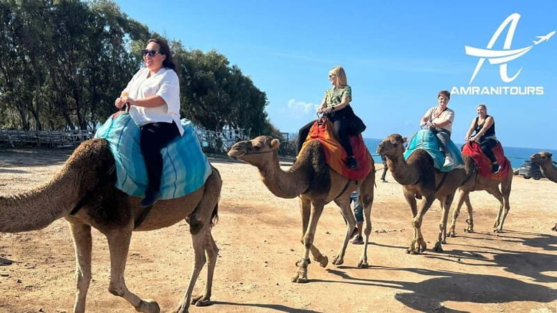Day Trip to Tangier Morocco from Cadiz all inclusive - Who This Tour Is Best For