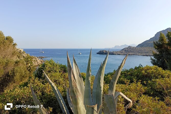 Day Trip to the Paphos Amazing Sides From Limassol. - Discovering the Cypress Delights