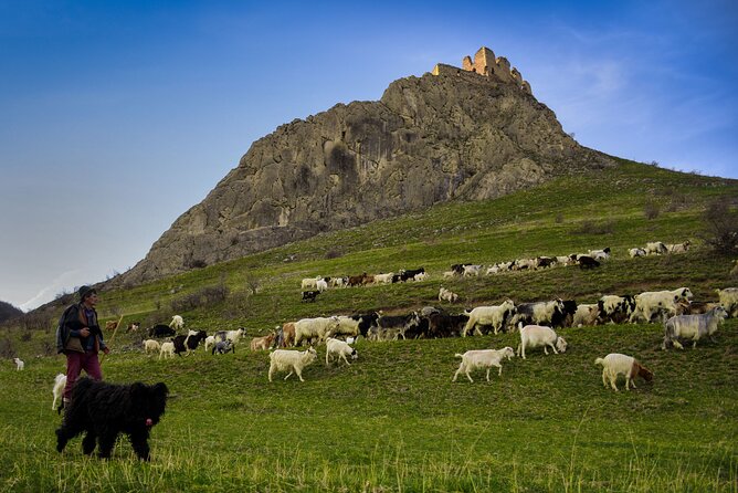 Day Trip To Turda Salt Mine, Rimetea Village & Coltesti Fortress - Insights Into the Tours Flexibility and Personalization