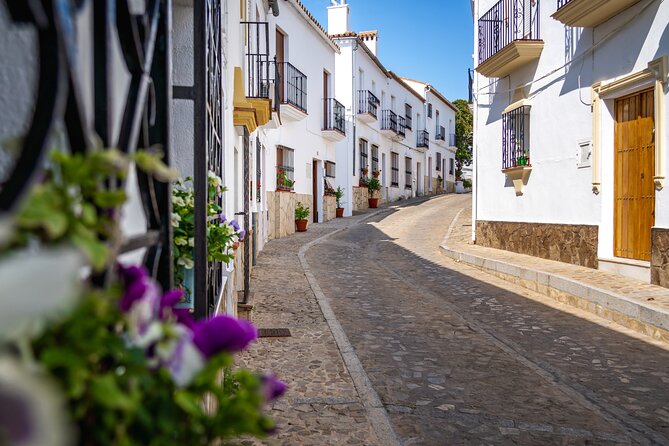 Day Trip to Zahara, Setenil and Ronda From Seville - Traveler Observations and Recommendations