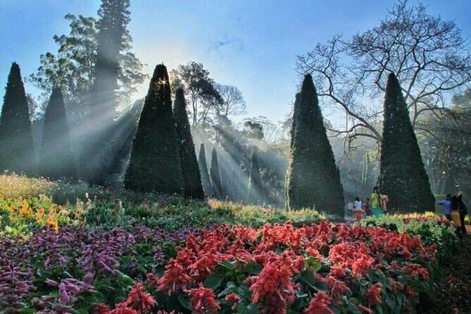 Day Trip Tour From Mandalay To Pyin Oo Lwin - An In-Depth Look at the Tour