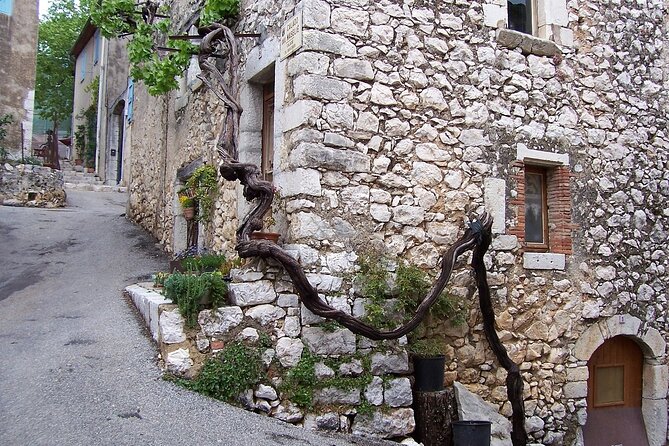 Day Trip: Visit of Saint Paul Vence, Antibes , Cannes. - Included Amenities and Services