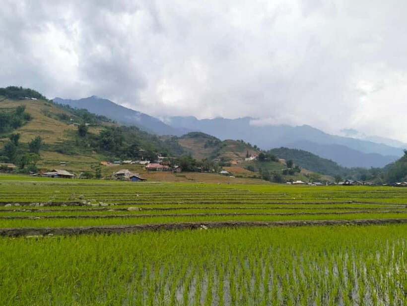 Day Trip Visit Y Linh Ho,Lao Chai Ta Van - Cat Cat Village - Key Points
