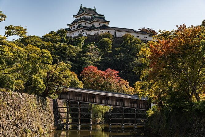 Day Trip Wakayama Tour from Osaka - Practical Details and What to Expect