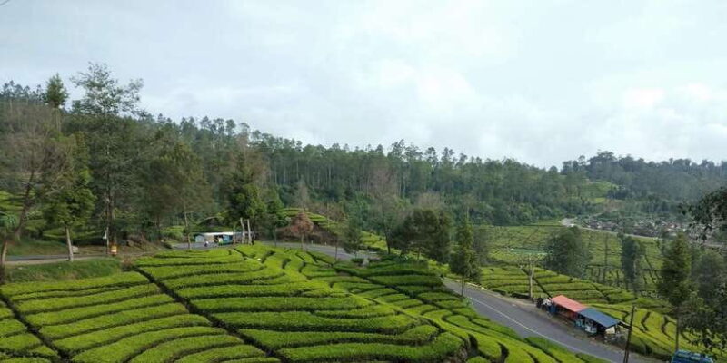 Day Trip White Crater Ciwidey Bandung All In - Tour Guide - Authenticity and Value for Money