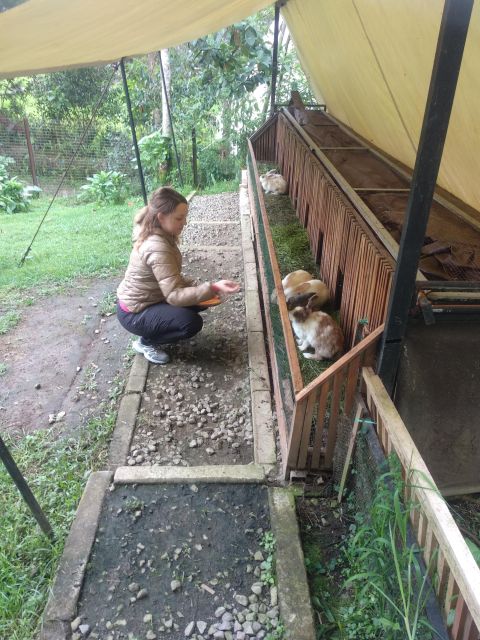 Day Trip White Crater Ciwidey Bandung All In - Tour Guide - Final Thoughts