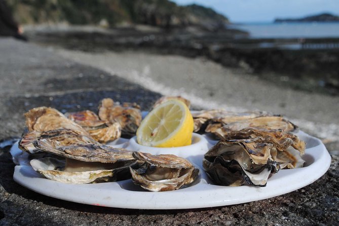 Day Trip with a local driver Dinan, Cancale, Saint-Malo from Rennes - 9 hours - Why This Tour Offers Good Value